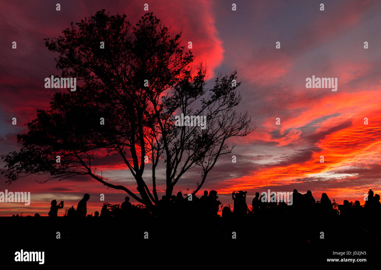 Group of people under a tree as the sunsets Stock Photo - Alamy