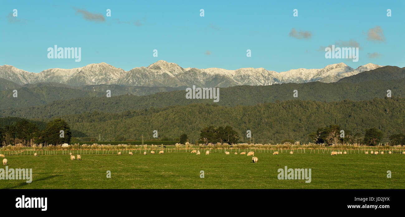 Tararua mountains hi-res stock photography and images - Alamy