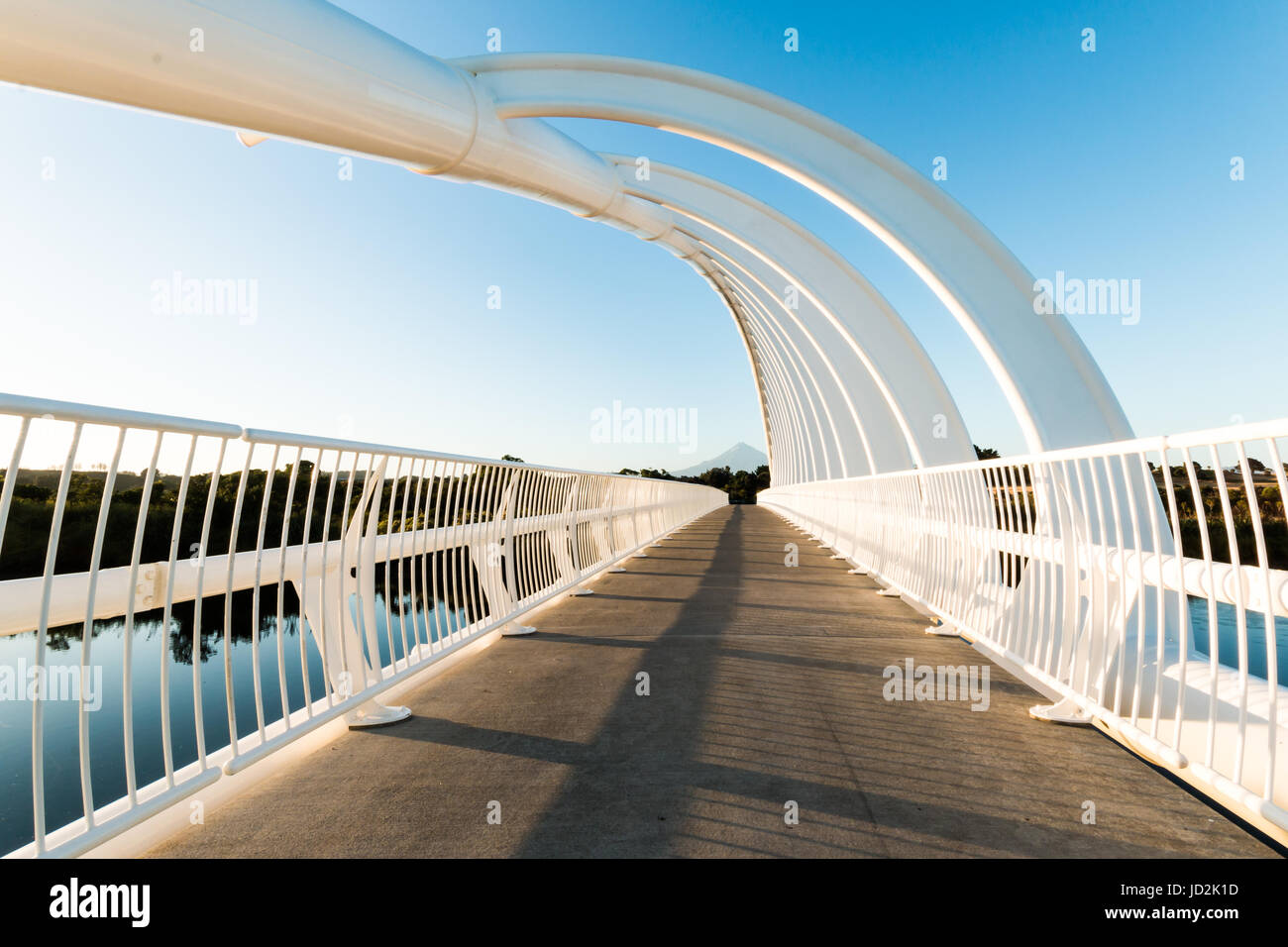 Reminiscent of both a breaking wave and whale skeleton, the ...