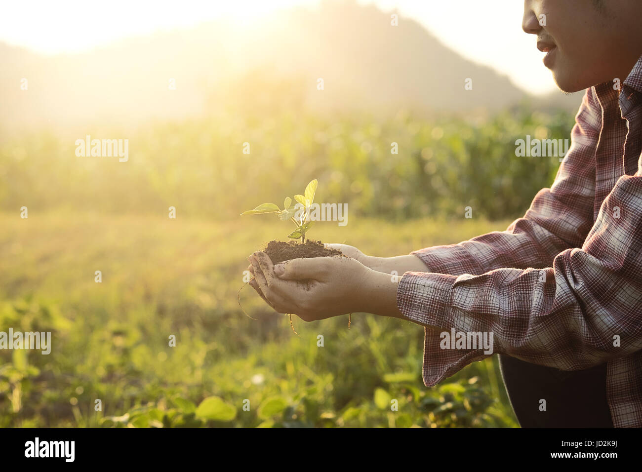 Soil cultivated dirt, earth, ground, agriculture Field land background ...