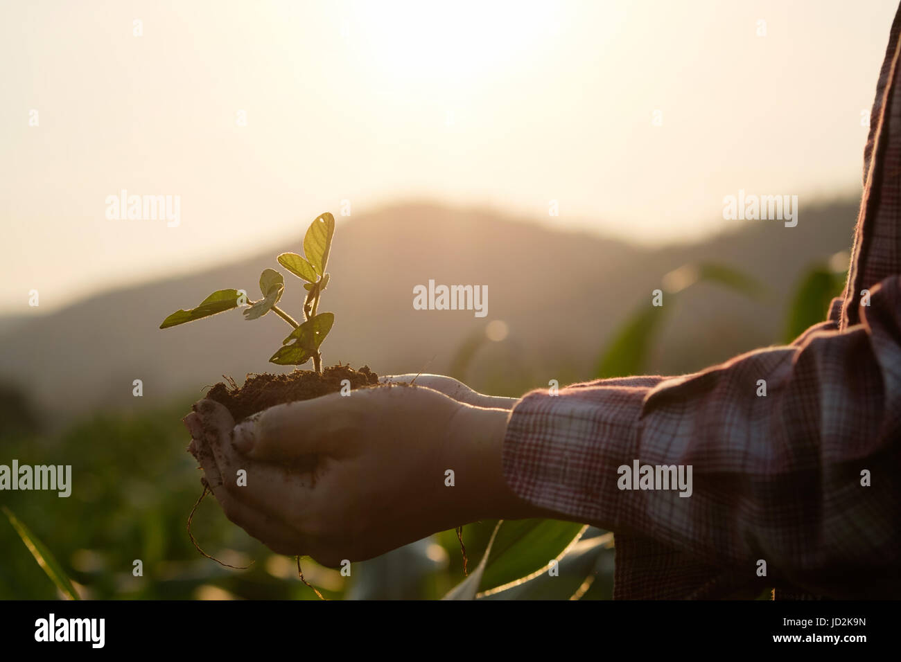 Soil cultivated dirt, earth, ground, agriculture Field land background ...