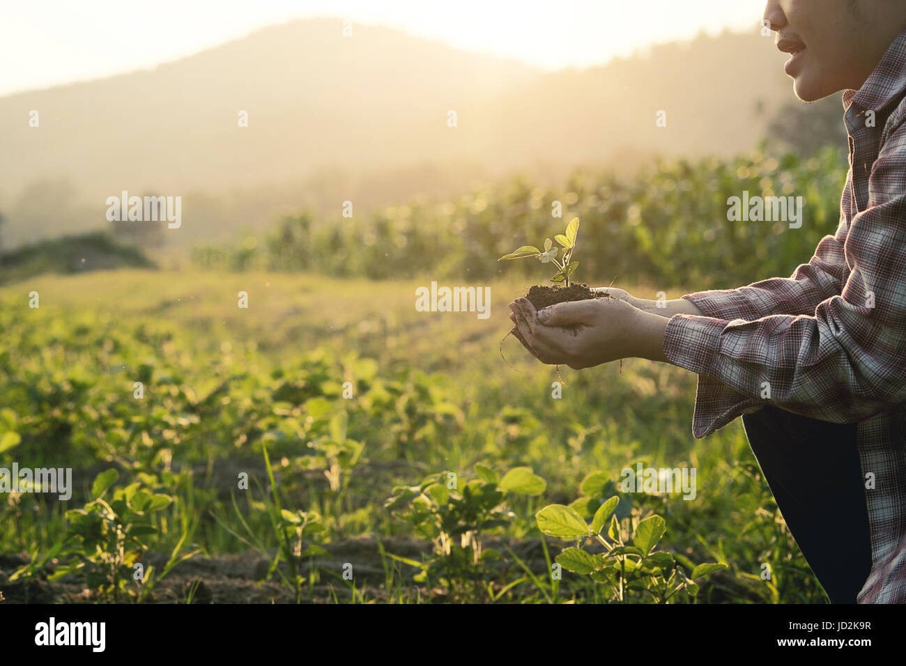 Soil cultivated dirt, earth, ground, agriculture Field land background ...