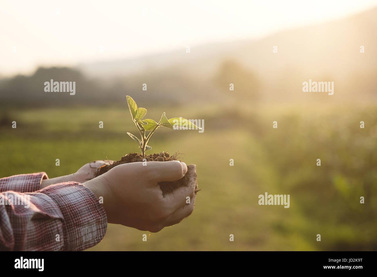 Soil cultivated dirt, earth, ground, agriculture Field land background ...