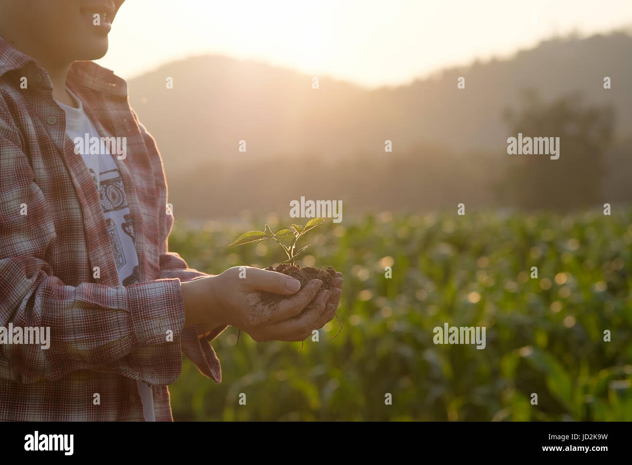 Soil cultivated dirt, earth, ground, agriculture Field land background ...
