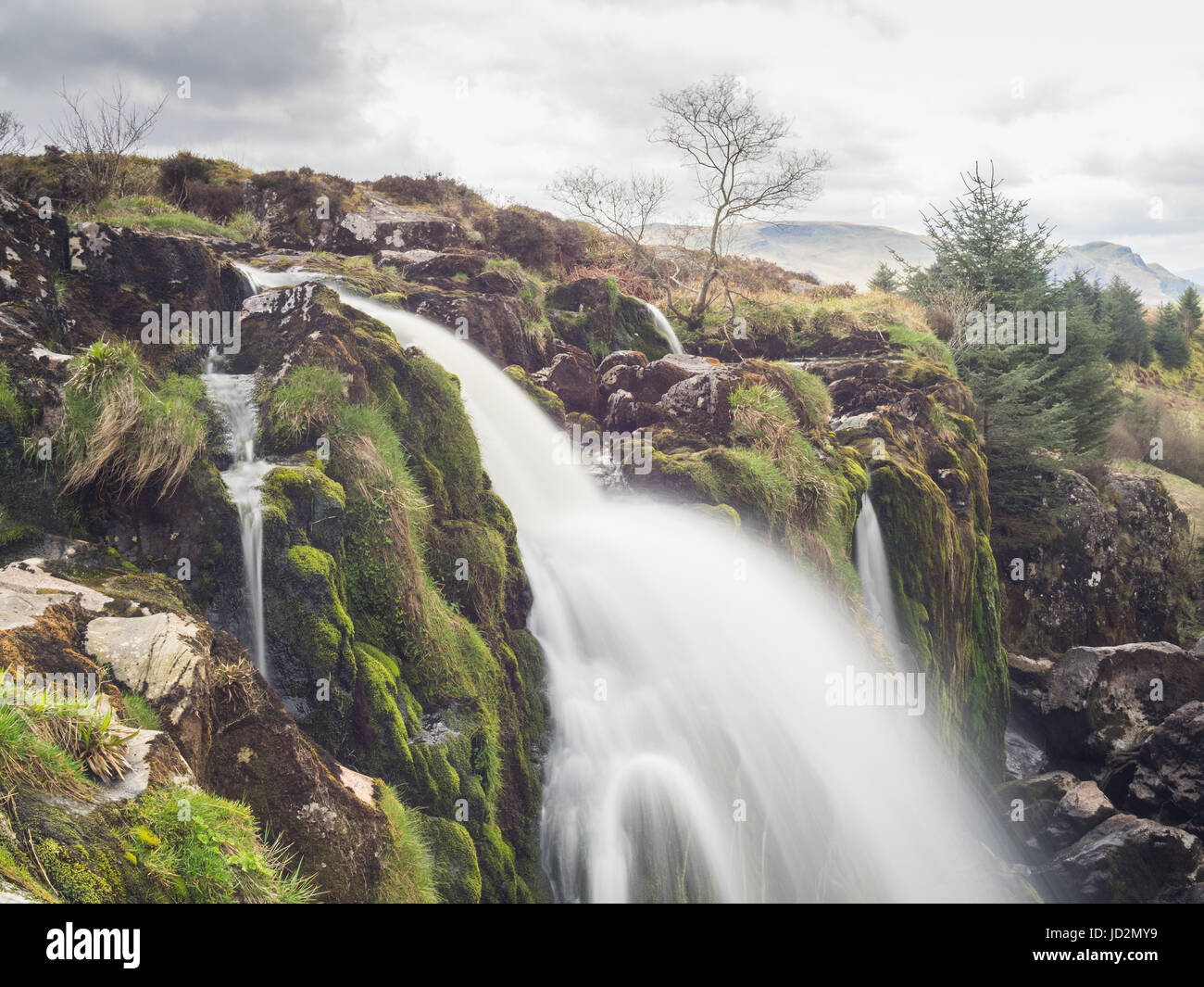 Loup of Fintry Stock Photo - Alamy