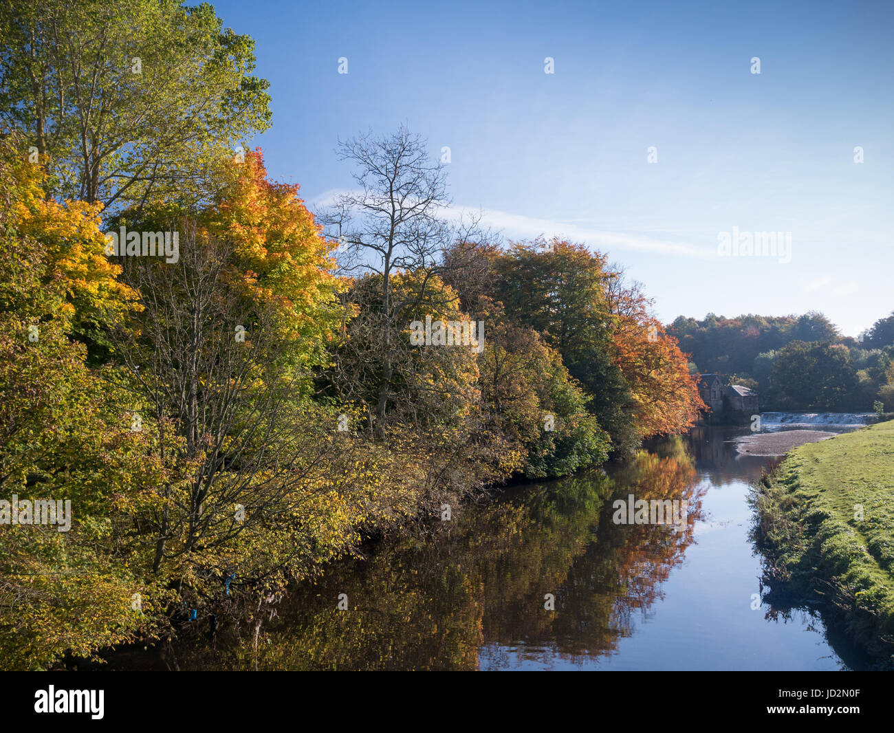 Pollok Park Glasgow Stock Photo - Alamy