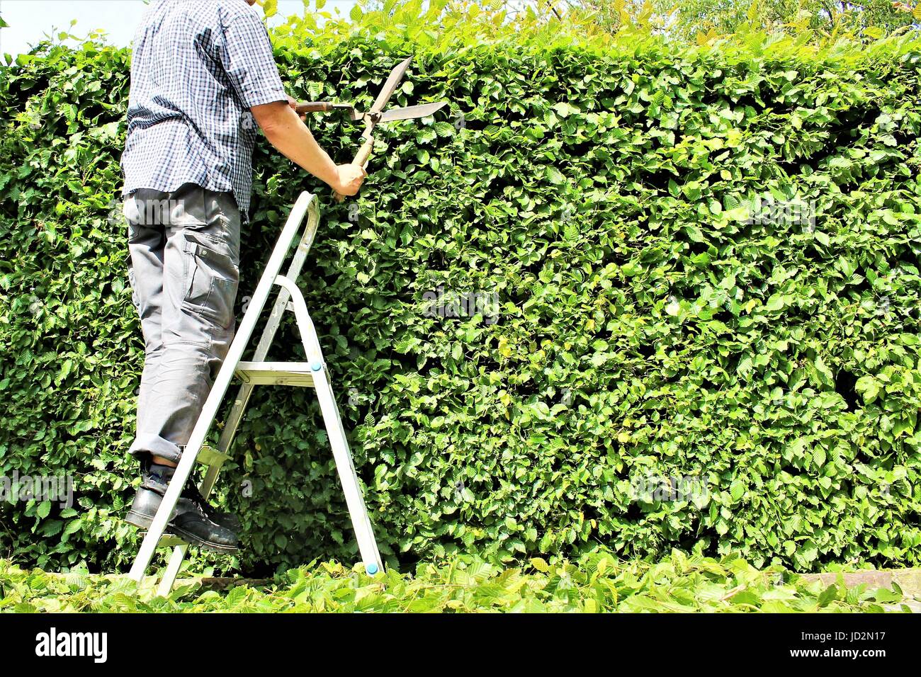 Hand trimming straw hi-res stock photography and images - Alamy