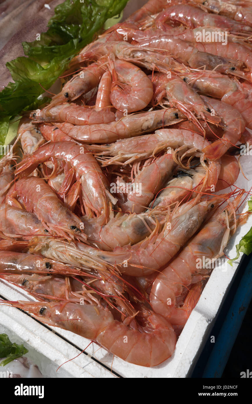 Fish exposed in open market Stock Photo - Alamy
