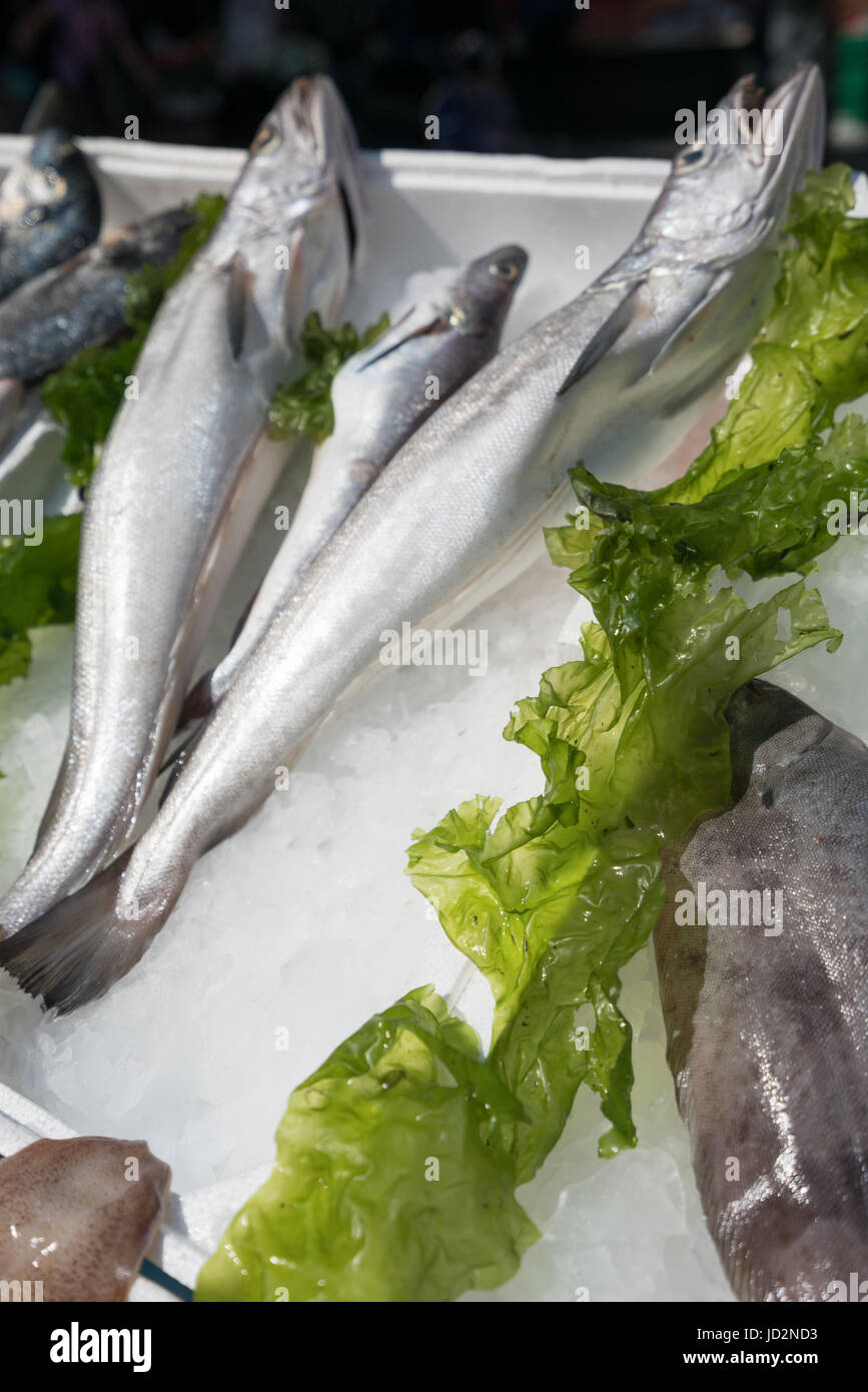 Fish exposed in open market Stock Photo - Alamy