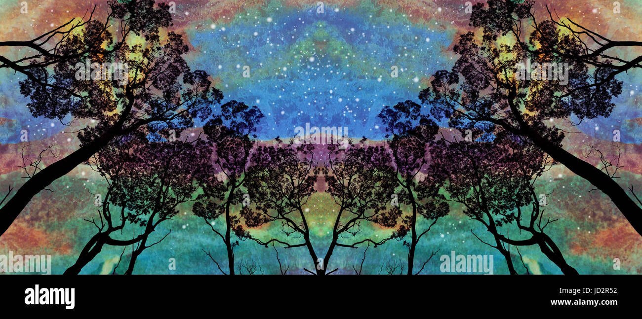 Gum tree canopy night sky hi-res stock photography and images - Alamy