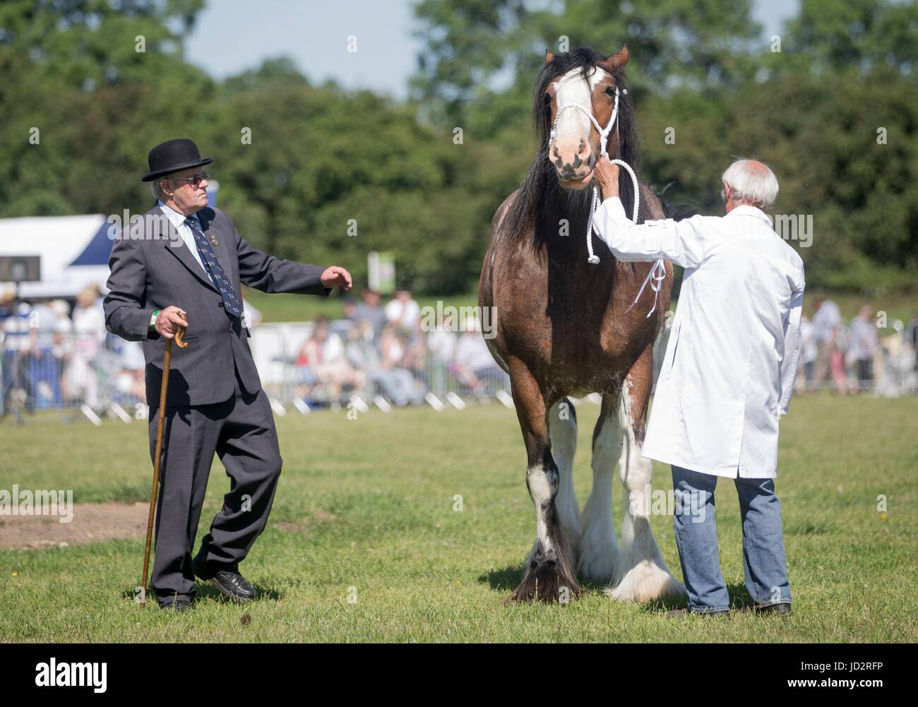 A Judge during the Heavy Horse Judging at the 39th North Yorkshire ...