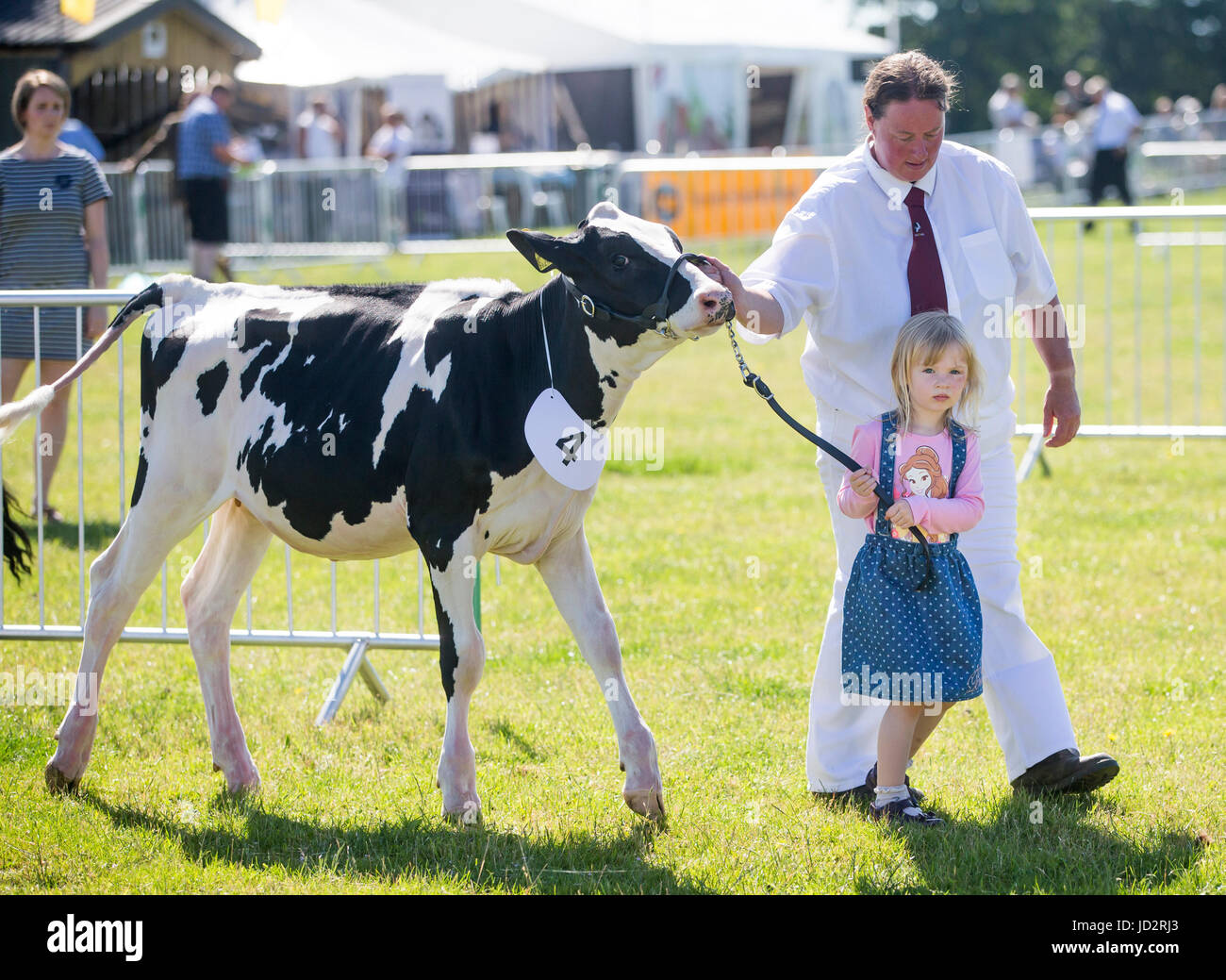 Kirklington hi-res stock photography and images - Alamy