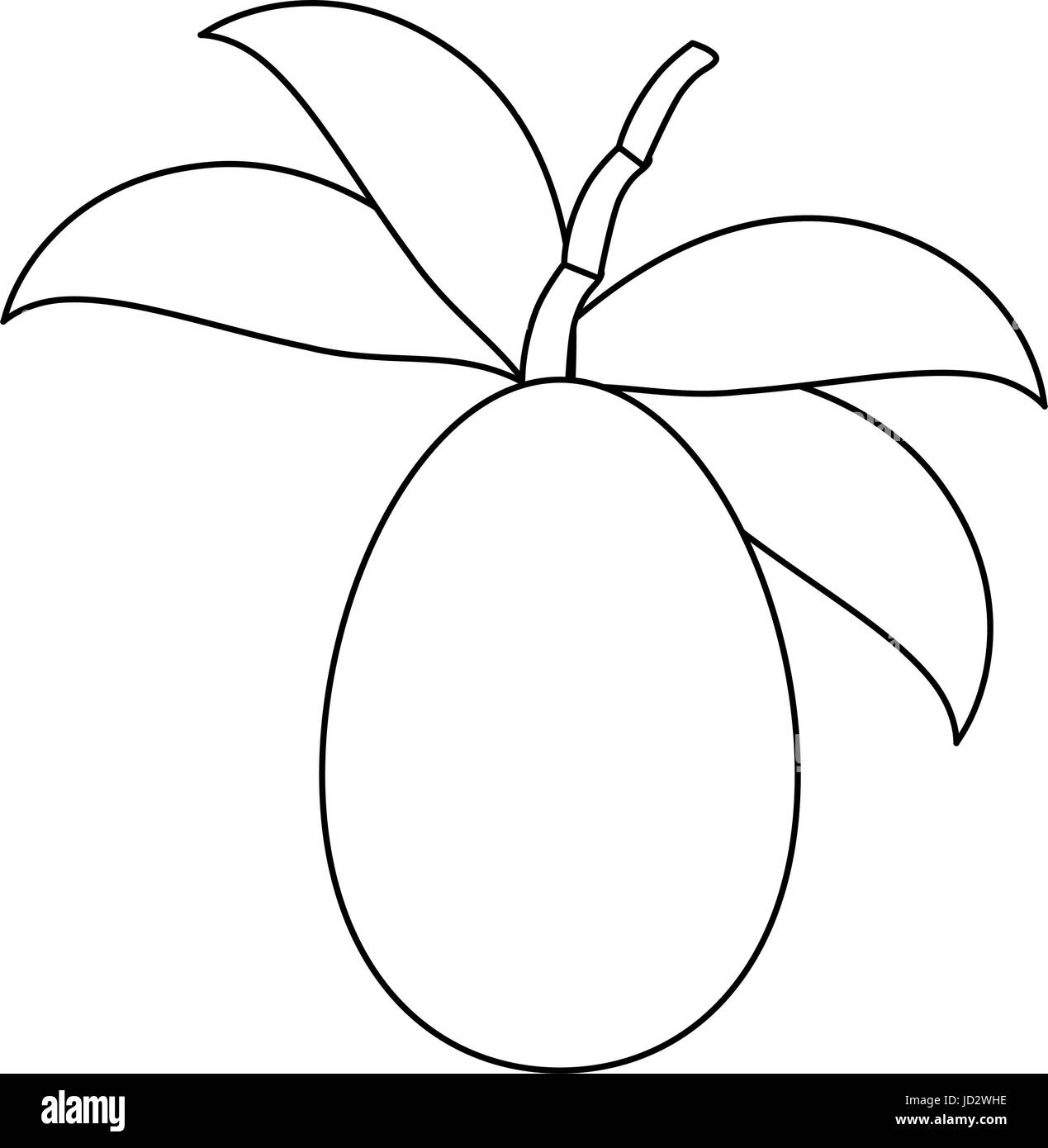 Tamarillo tree Stock Vector Images - Alamy