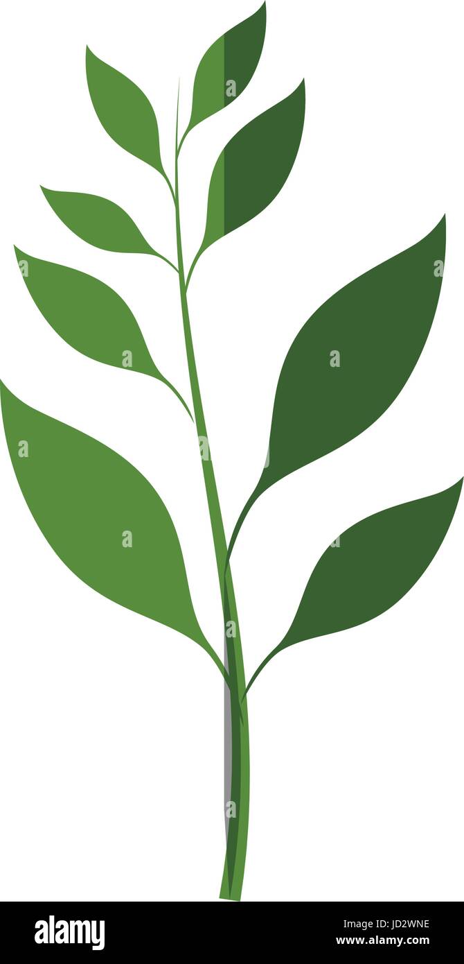 Plant ecology symbol Stock Vector Image & Art - Alamy