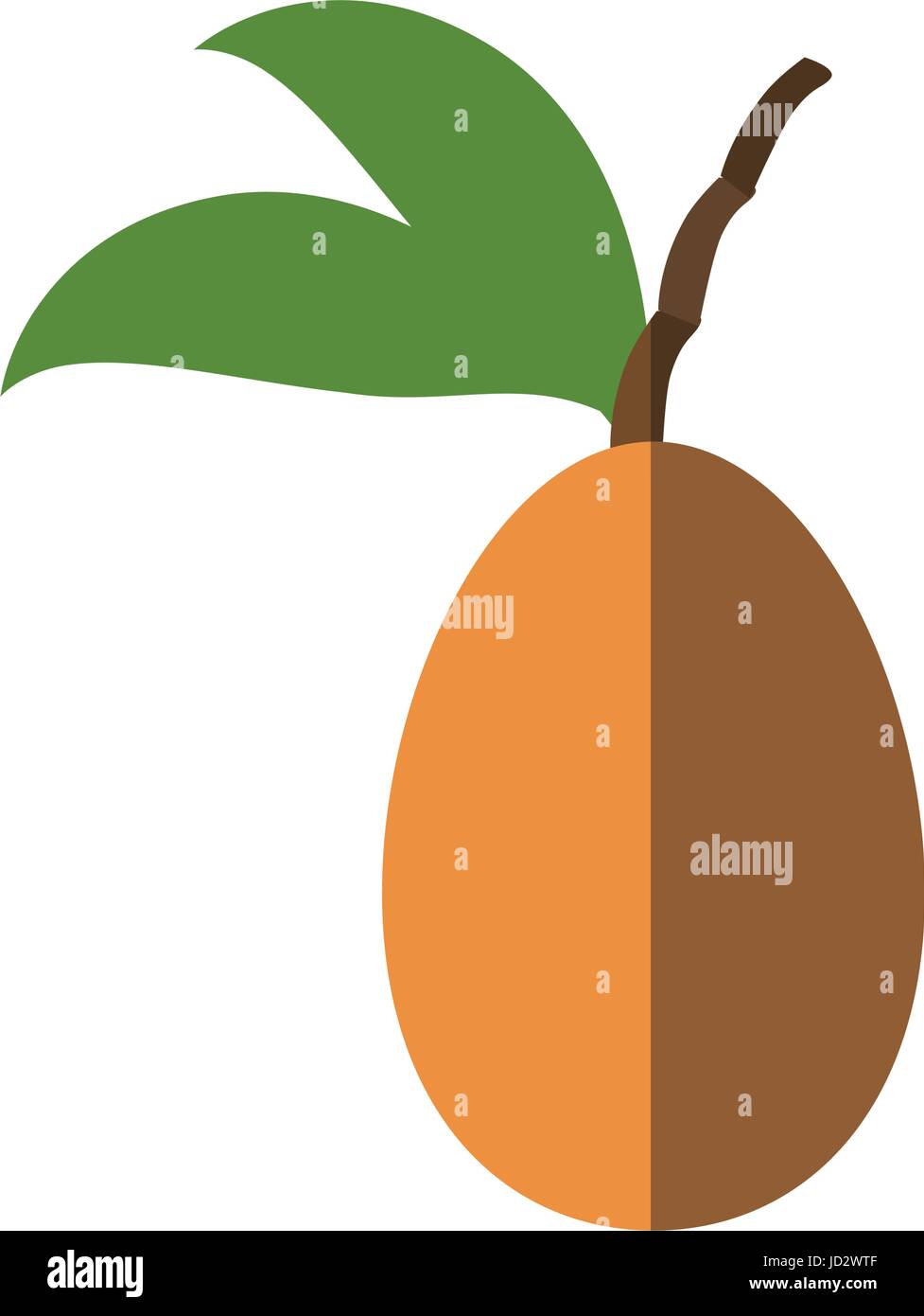 Tree tomato fruit Stock Vector Image & Art - Alamy