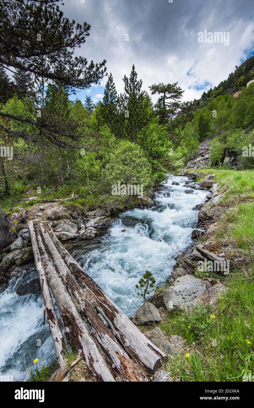 Fallen tree trunk crossing over river in Pyrenees Stock Photo - Alamy
