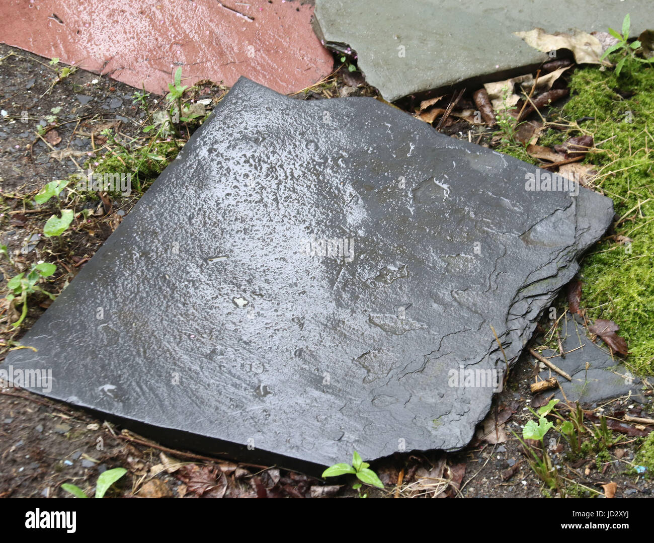 Path pathway tiles hi-res stock photography and images - Alamy