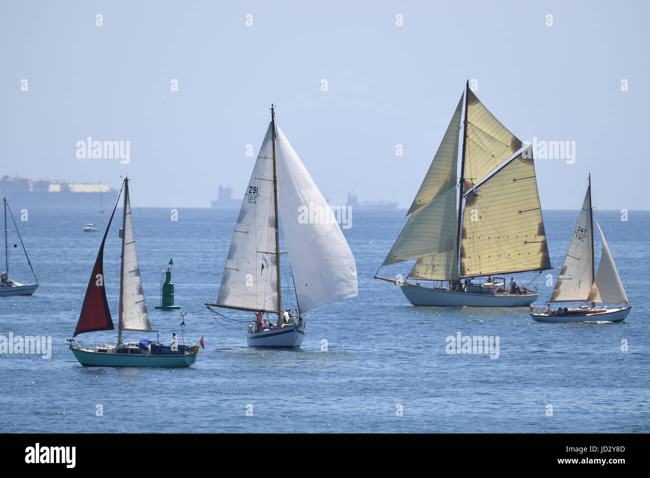 Falmouth Classics yachts sailing in Falmouth Bay Stock Photo - Alamy