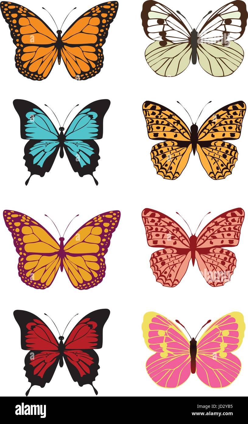 vector illustration of butterfly set isolated on white background Stock ...