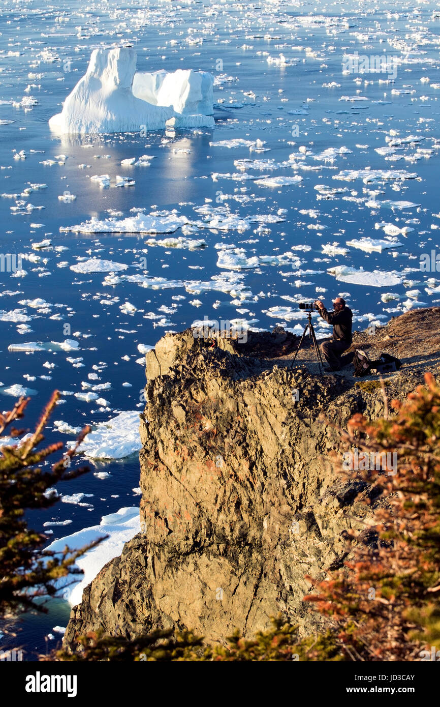 Photographer on cliff in Crow Head, Twillingate, Newfoundland, Canada ...