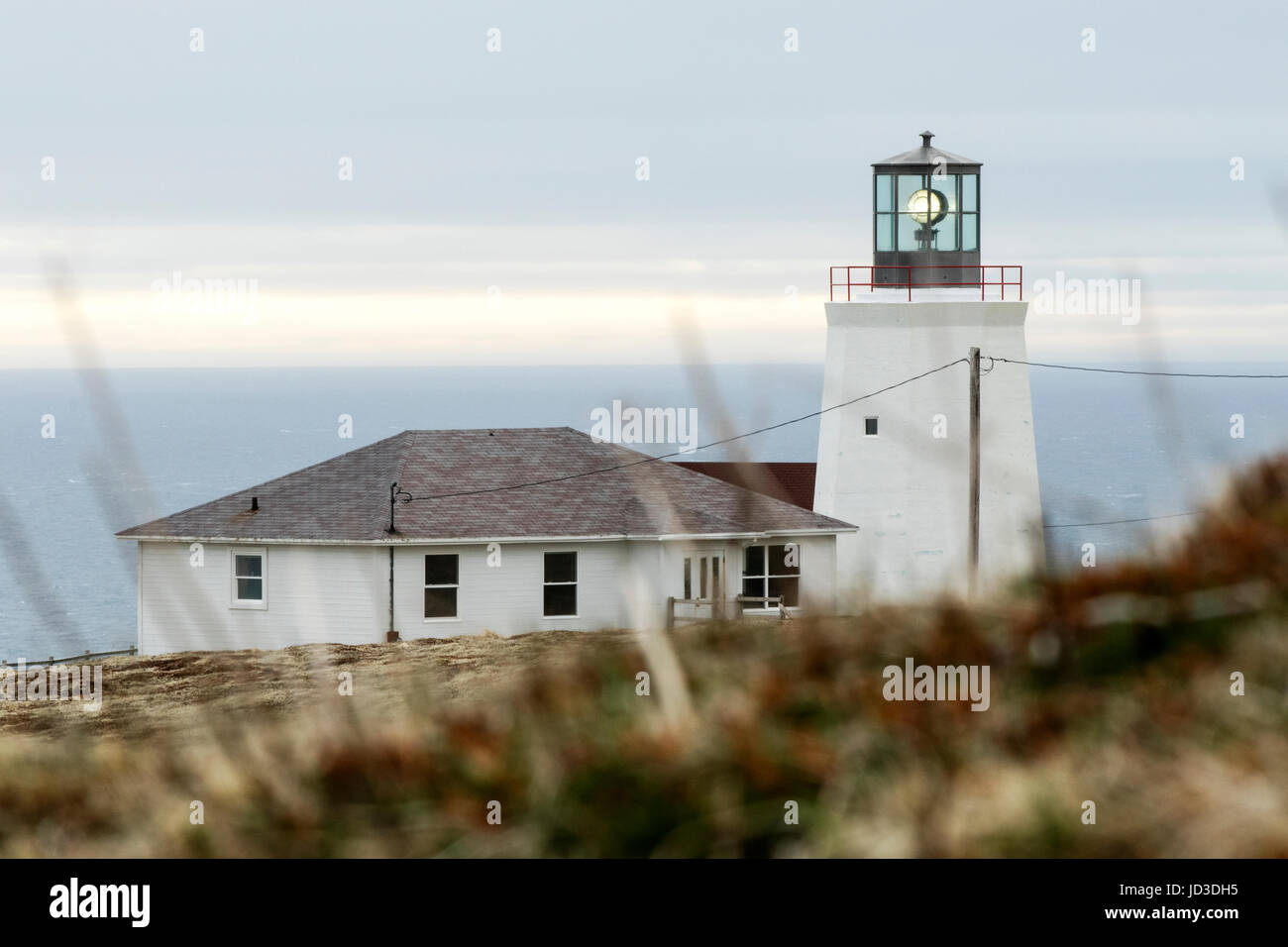 Coast Guard Lighthouse near Cape St. Mary's Ecological Reserve, Cape St ...