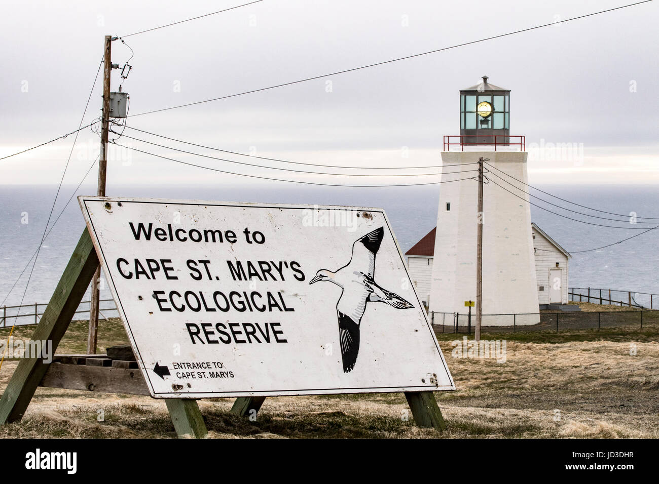 Coast Guard Lighthouse near Cape St. Mary's Ecological Reserve, Cape St ...
