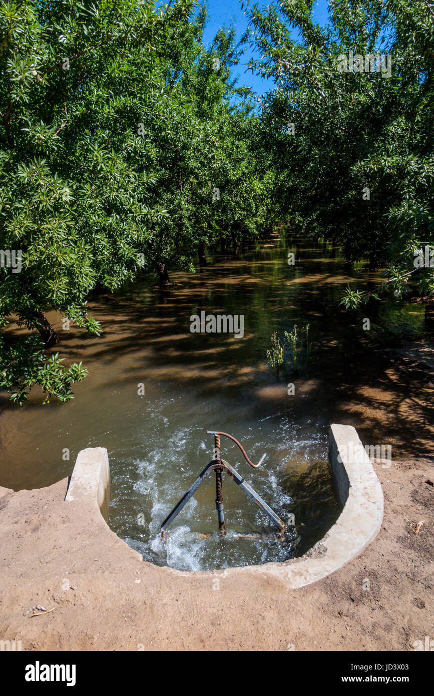 Irrigation canals for Almond production near Modesto California Stock ...