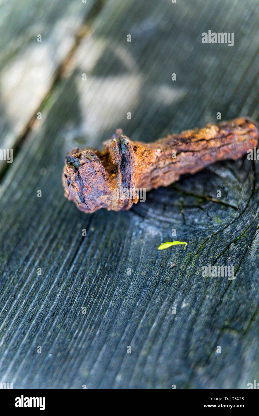 A rusty and corroded bolt/stud Stock Photo - Alamy