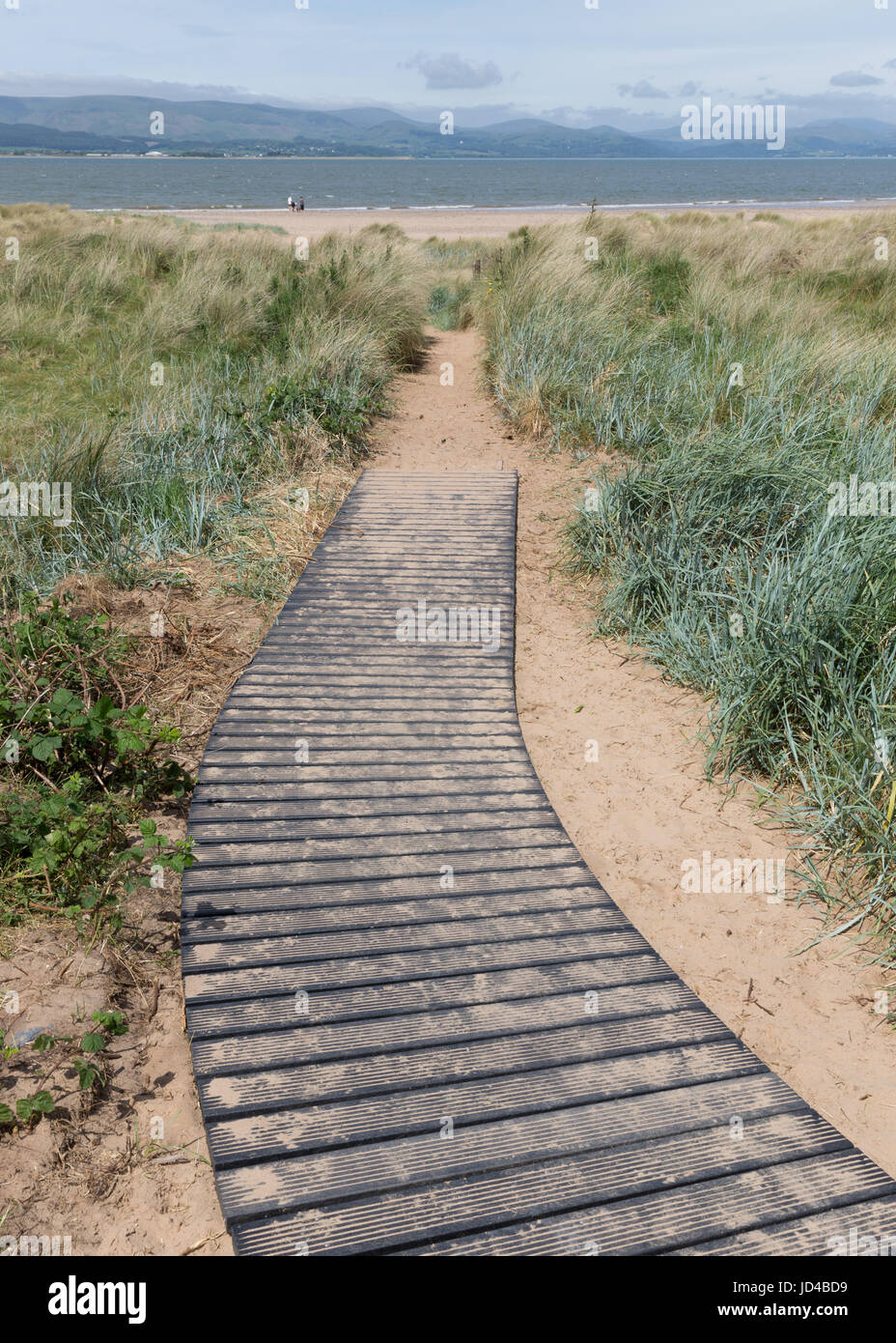 Sandscale Haws, Barrow in Furness Stock Photo - Alamy