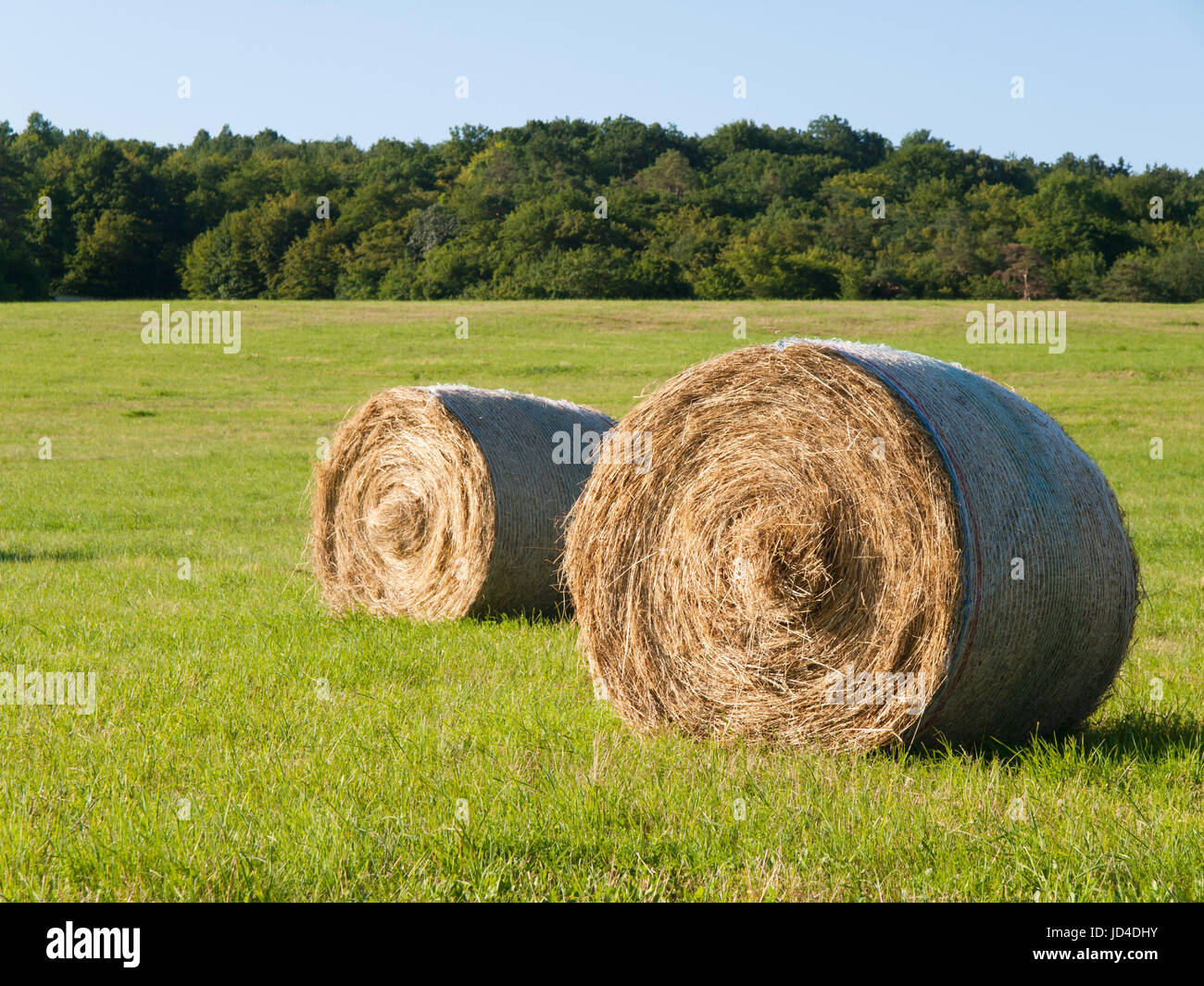 Harvesting the hay hi-res stock photography and images - Alamy