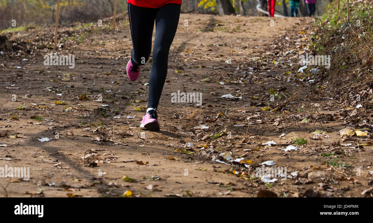 Legs male athlete running on forest trail Stock Photo - Alamy