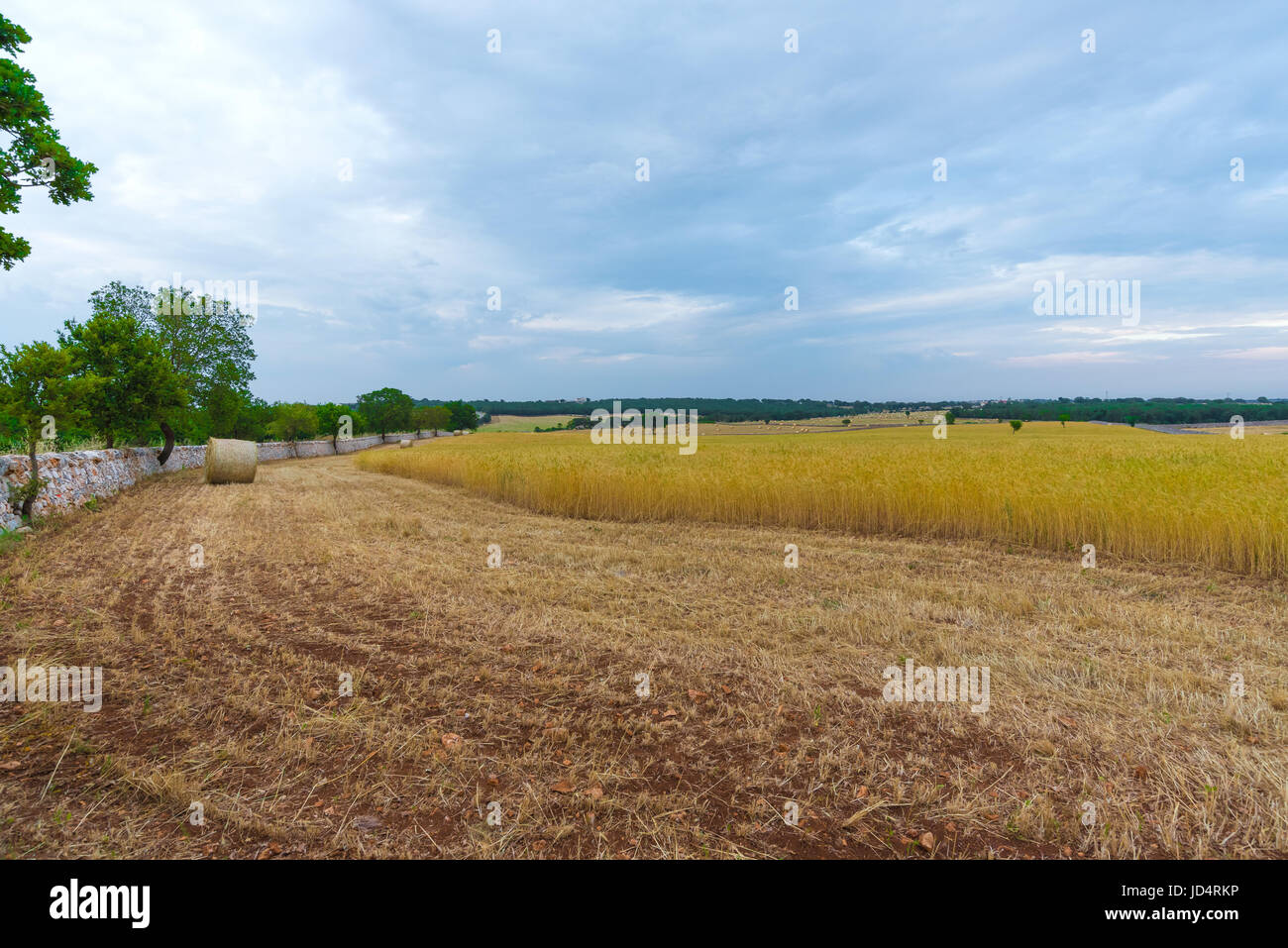Puglia (Italy) - Wind farm with rock ruins, wind turbines and bales of ...