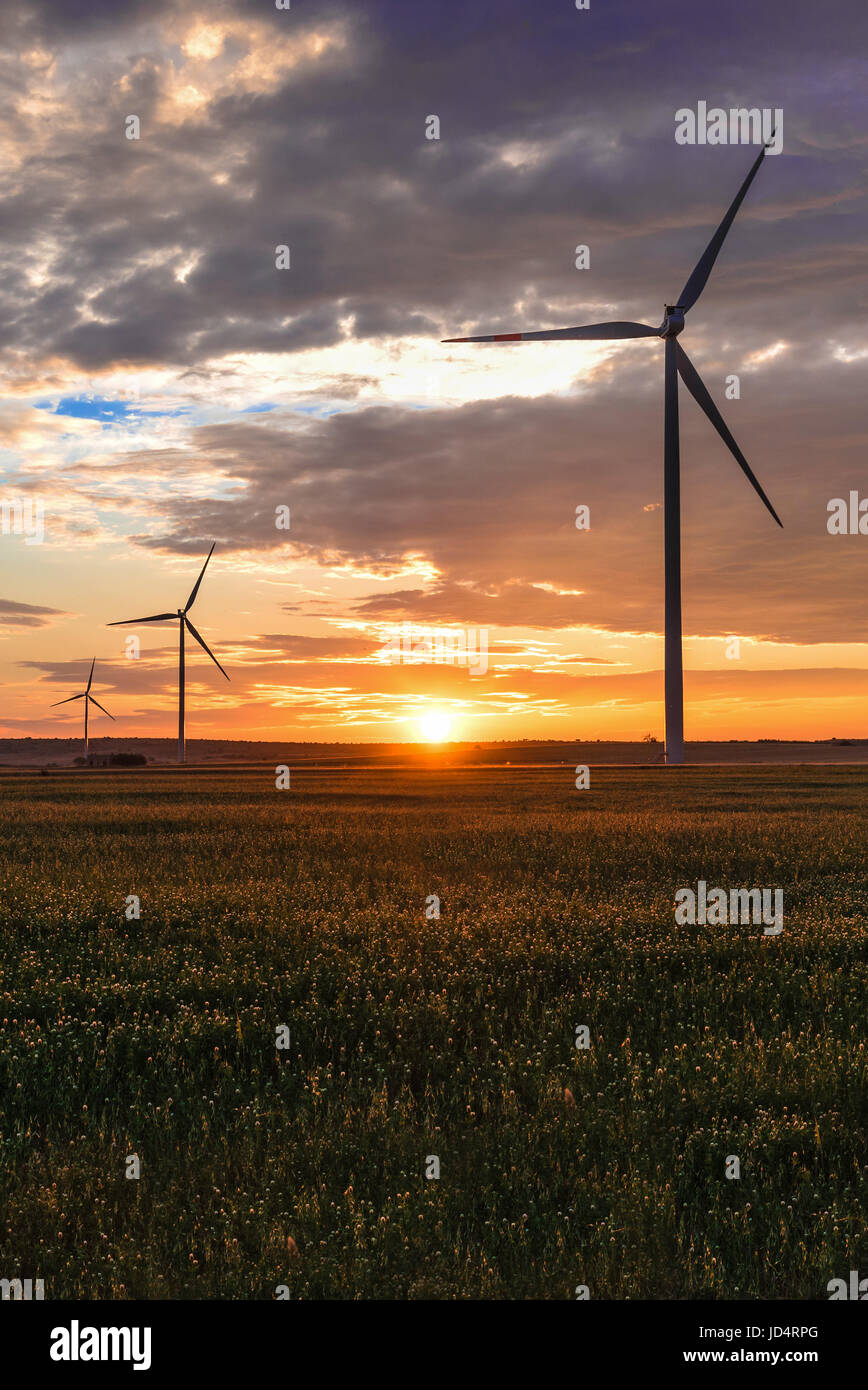 Puglia (Italy) - Wind farm with rock ruins, wind turbines and bales of ...