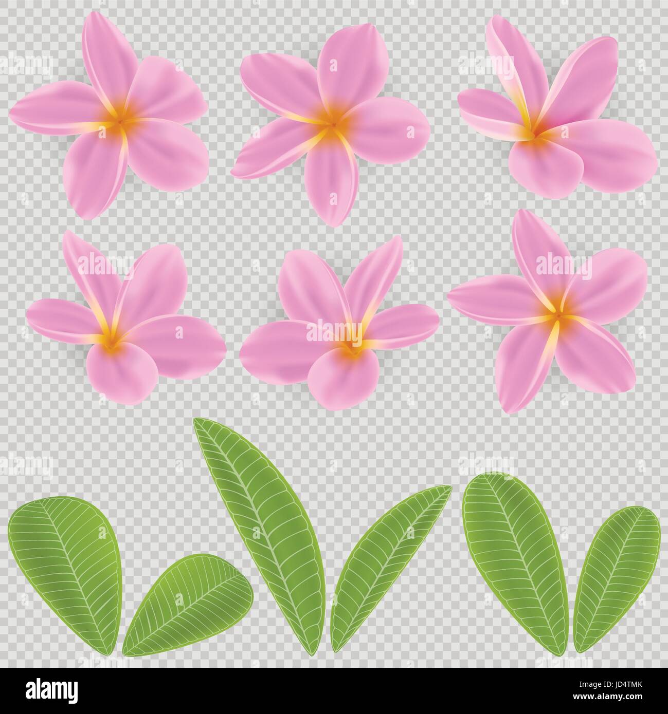 Pink yellow flower petal Stock Vector Images - Alamy
