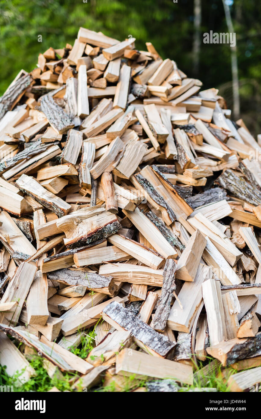 Firewood in a pile in a green forest Stock Photo - Alamy