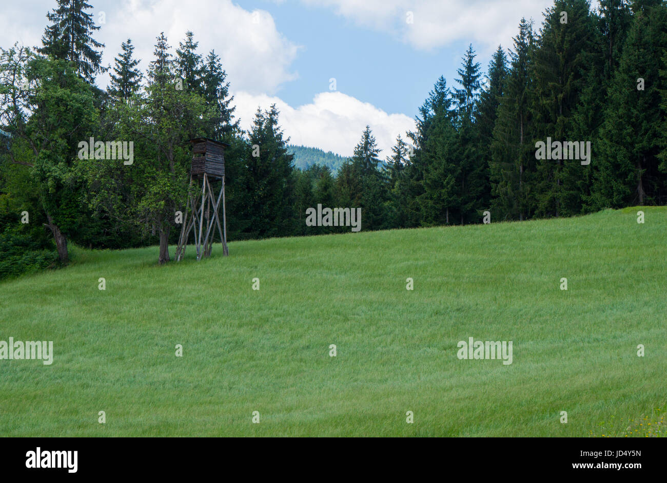 Hunter's lookout in the hills of Austria Stock Photo - Alamy
