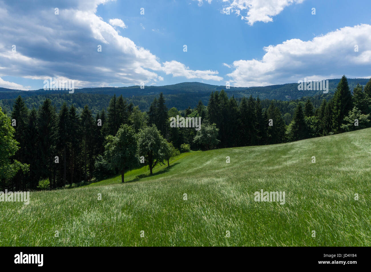Windswept hills hi-res stock photography and images - Alamy