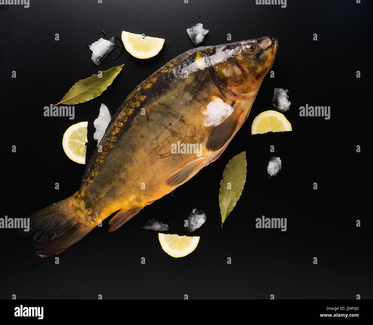 Top view of raw carp with ice cubes, lemon slices and bay leaves on ...