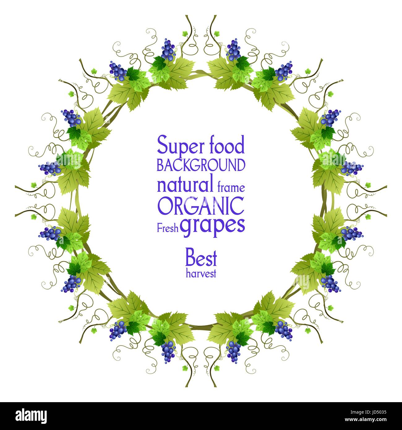 Grapes Frame High Resolution Stock Photography and Images - Alamy