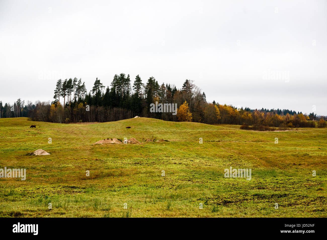 endless fields in spring with brown old grass Stock Photo - Alamy