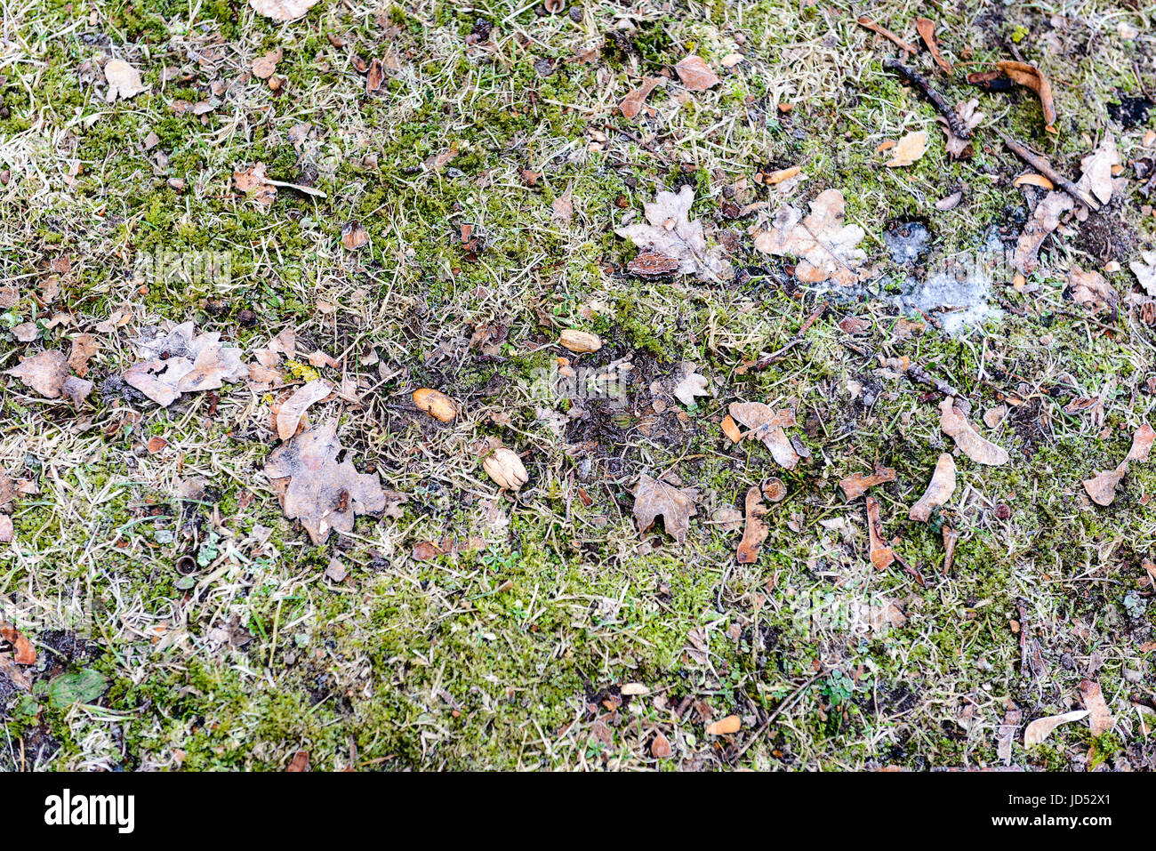 art grunge vintage texture background in nature Stock Photo - Alamy