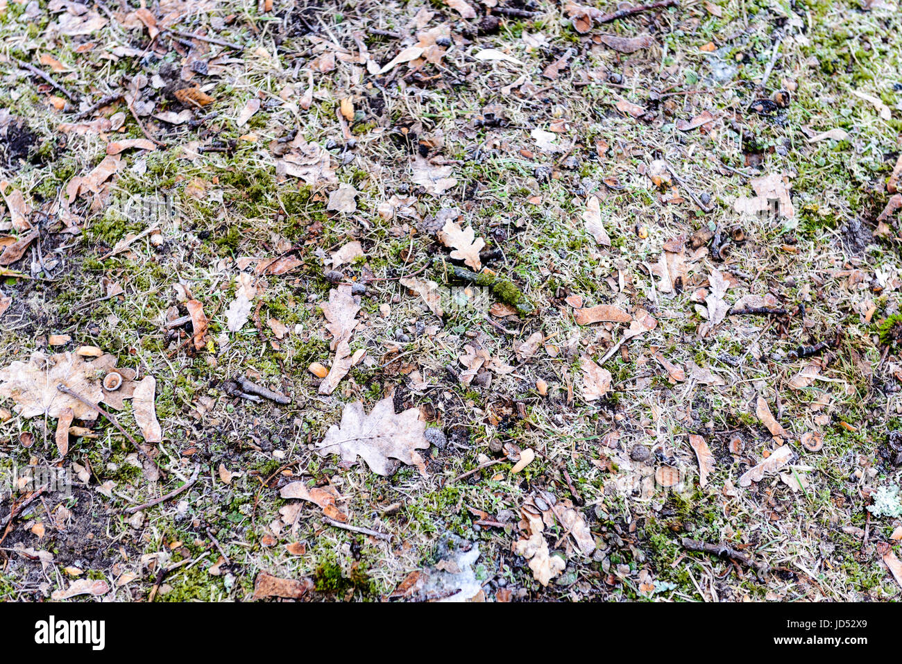 art grunge vintage texture background in nature Stock Photo - Alamy