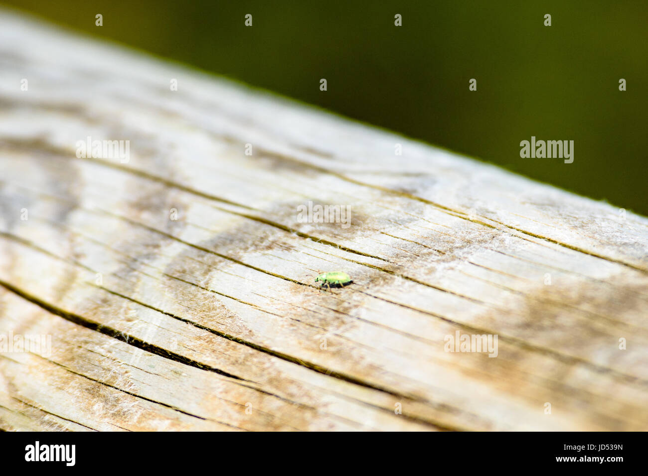 art grunge vintage texture background in nature Stock Photo - Alamy