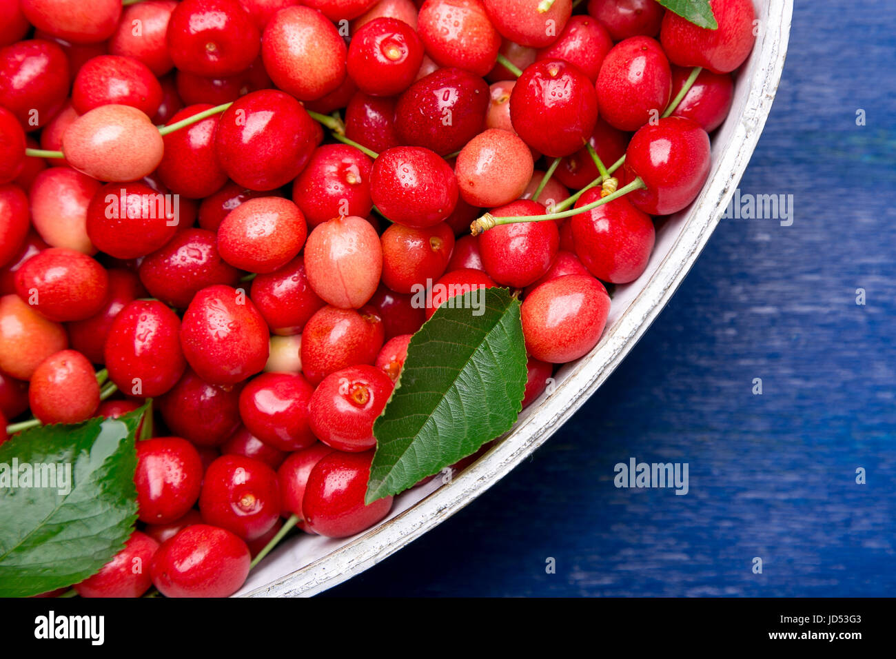 Red cherries in white basket on blue wooden background. Cherry close up ...
