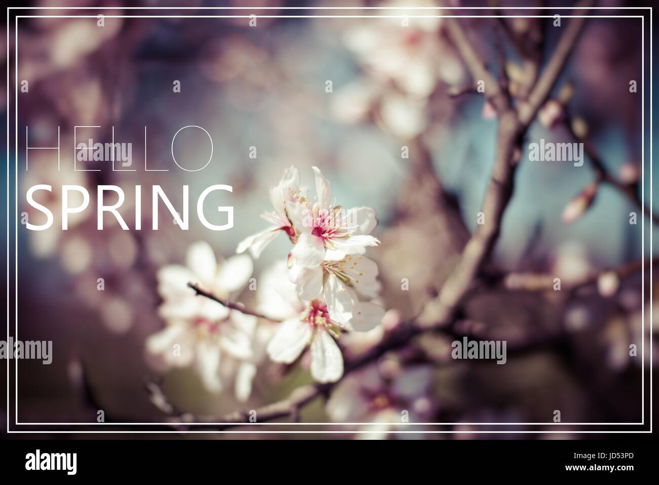 Hello spring beginning spring hi-res stock photography and images - Alamy