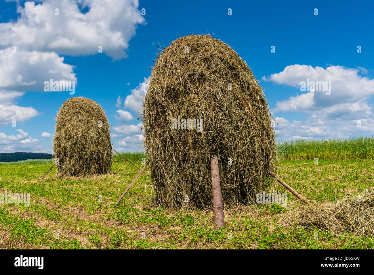 Rolls of haystacks on the field hi-res stock photography and images - Alamy