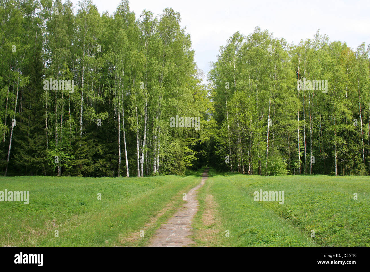 Pawlow Parque - Russia Stock Photo - Alamy
