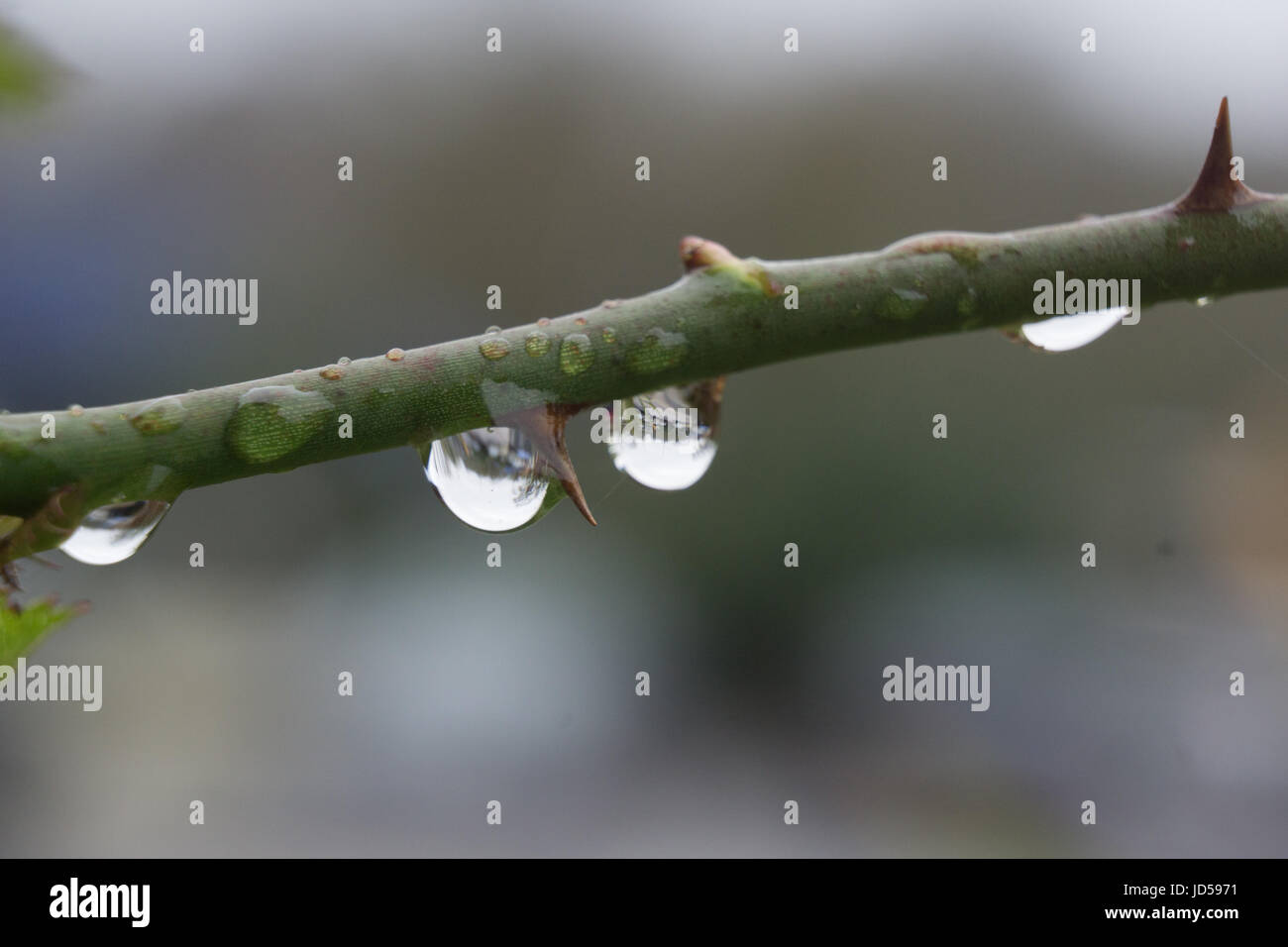 Drops art artwork hi-res stock photography and images - Alamy