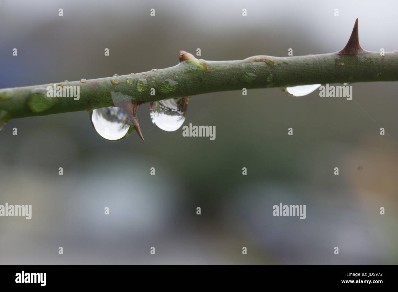 Drops art artwork hi-res stock photography and images - Alamy