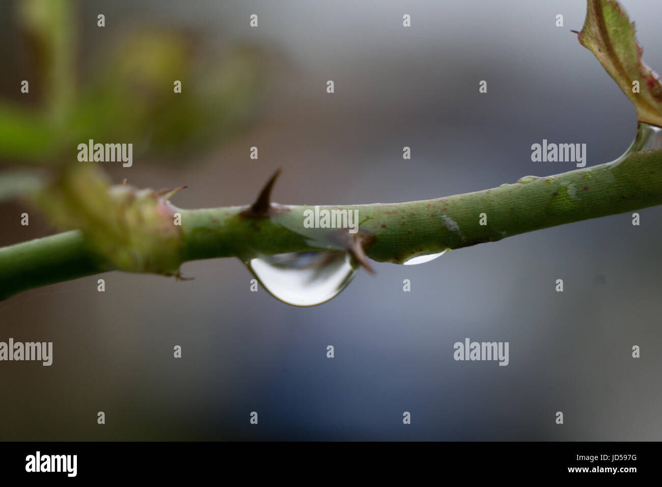 Drops art artwork hi-res stock photography and images - Alamy